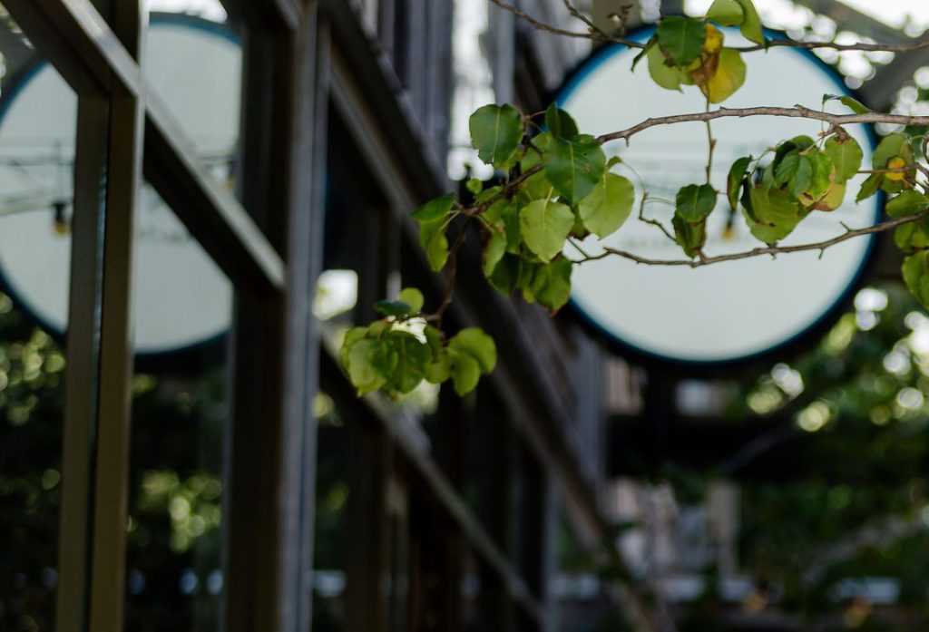 Financial Advisor Perth - Sanders Success Wealth Management | Perth ...